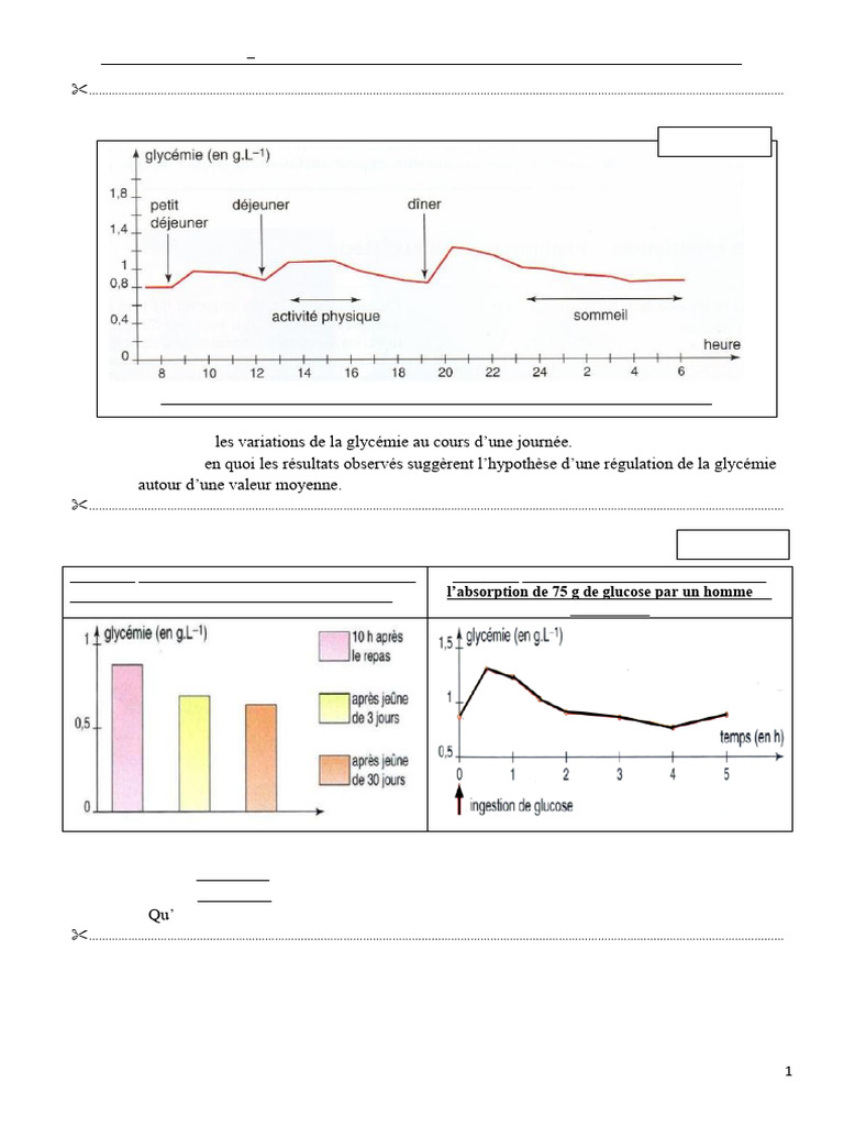 Planche Glycemie | PDF
