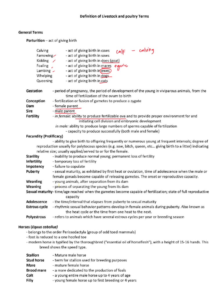 I. Definition of Livestock Terms | PDF