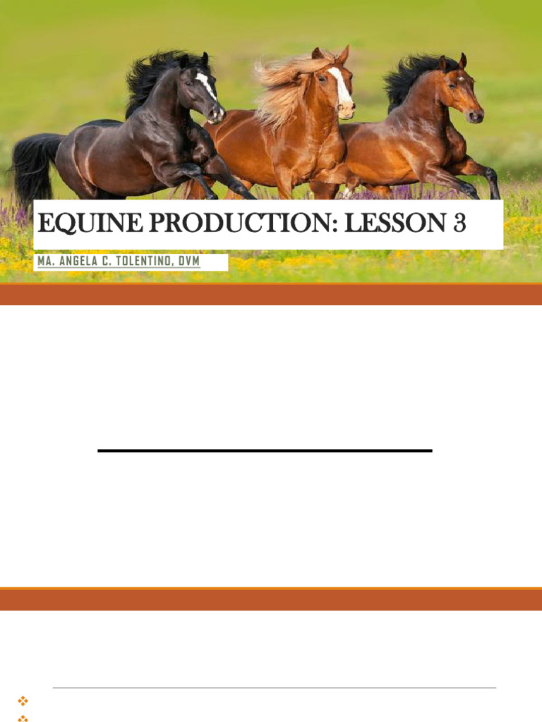 Equine Production Lesson 4 | PDF