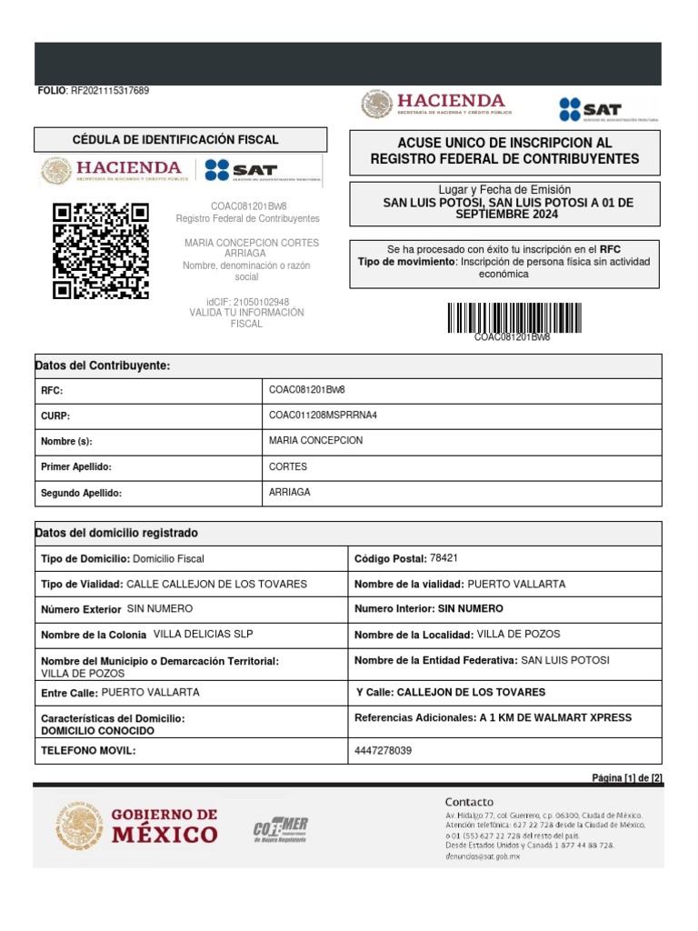 Acuse de RFC (1) Páginas Eliminadas | PDF