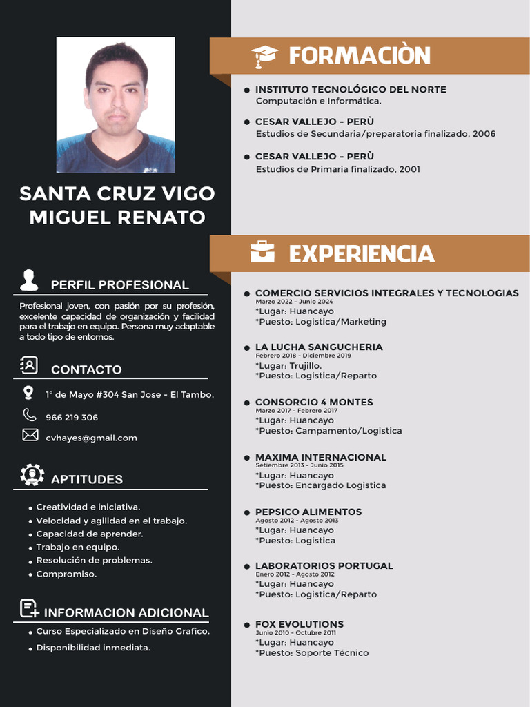 CV Miguel Santa Cruz-1 | PDF | Ingeniería | Informática