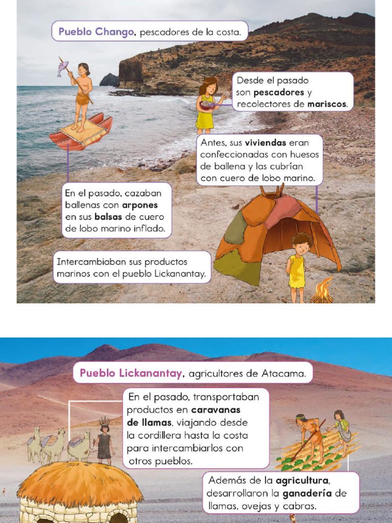 Pueblos Originarios | PDF