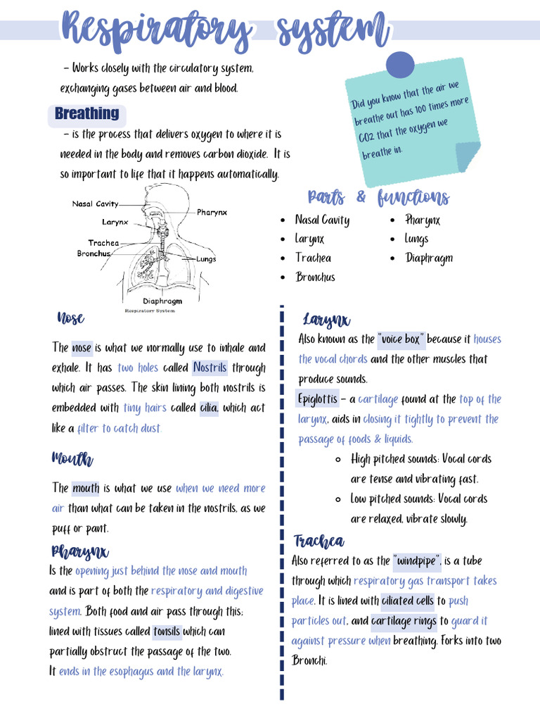 Science 9, Lesson 1 | PDF | Breathing | Respiratory System