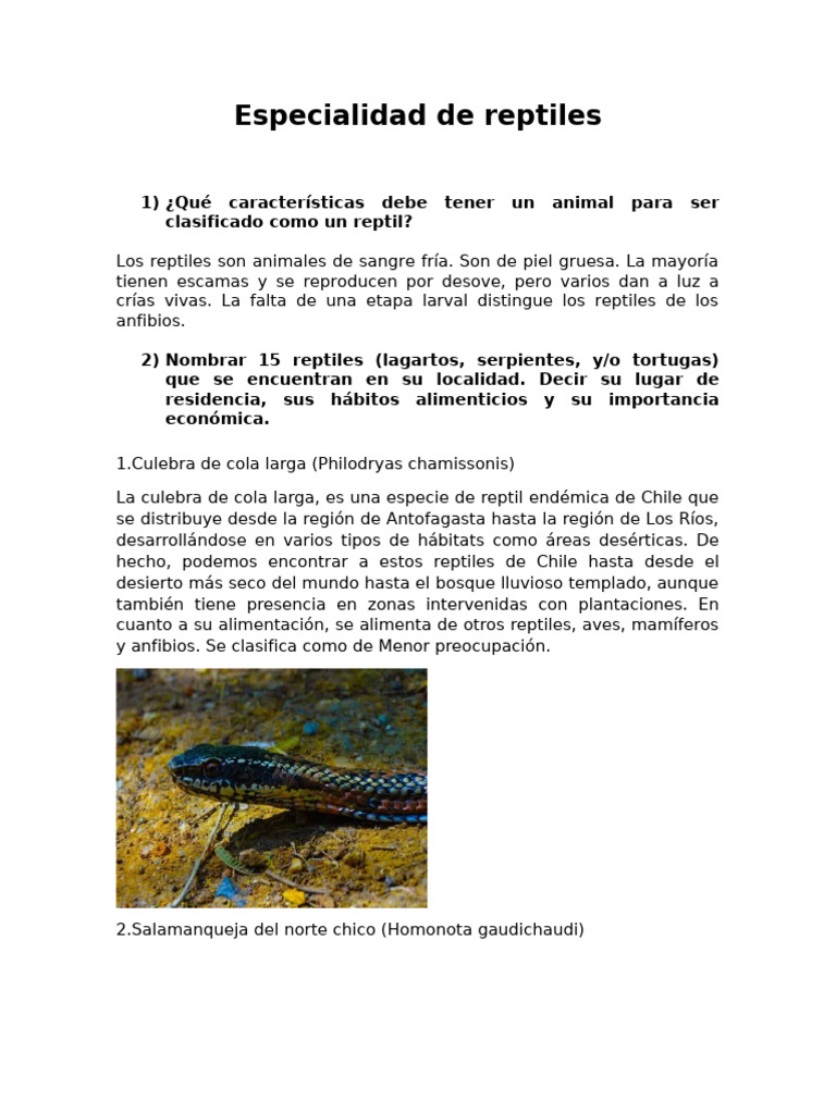 Especialidad de Reptiles | PDF