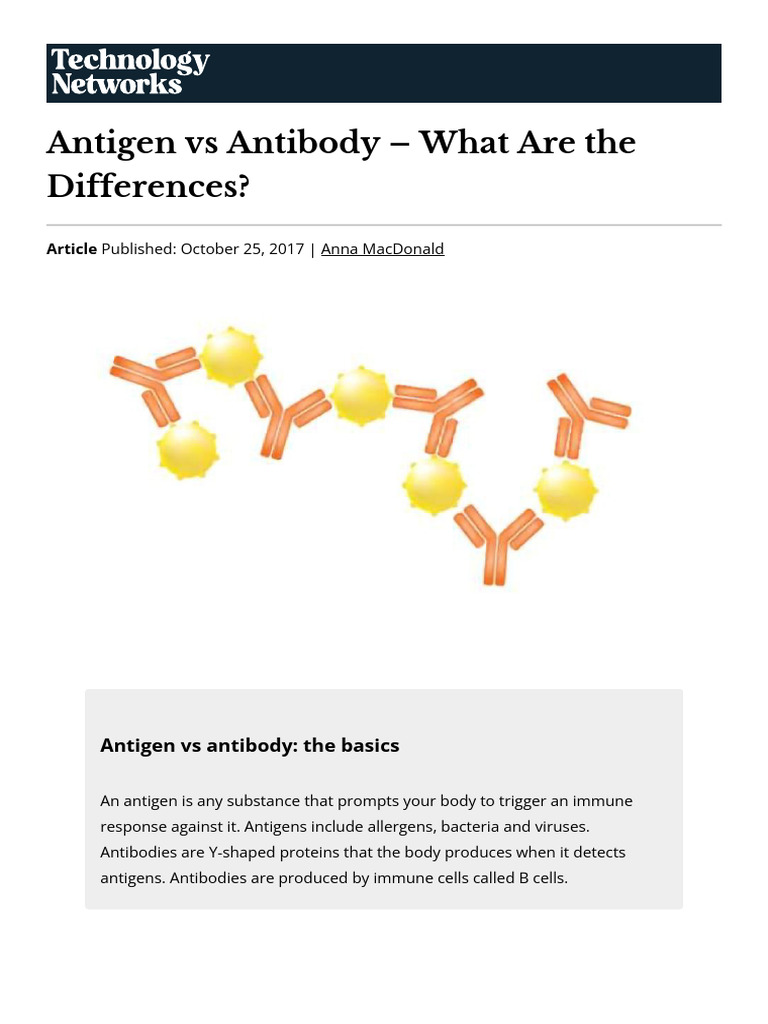 Antigen Vs Antibody - What Are The Differences | PDF