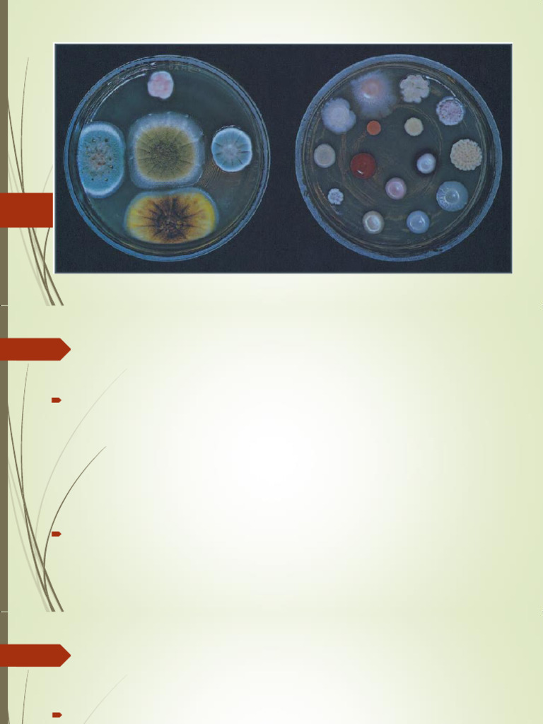 Microbial Biotechnology Scope Techniques | PDF | Vaccines | Penicillin