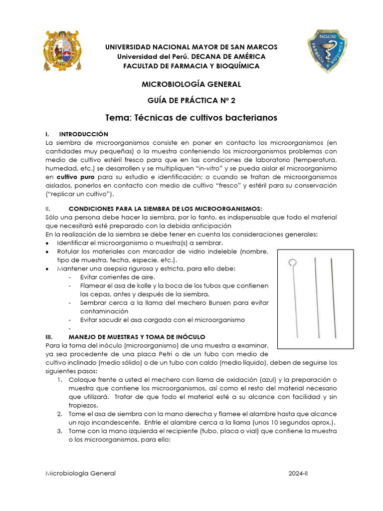 Gu-A de Pr-Ctica N - 2 | PDF