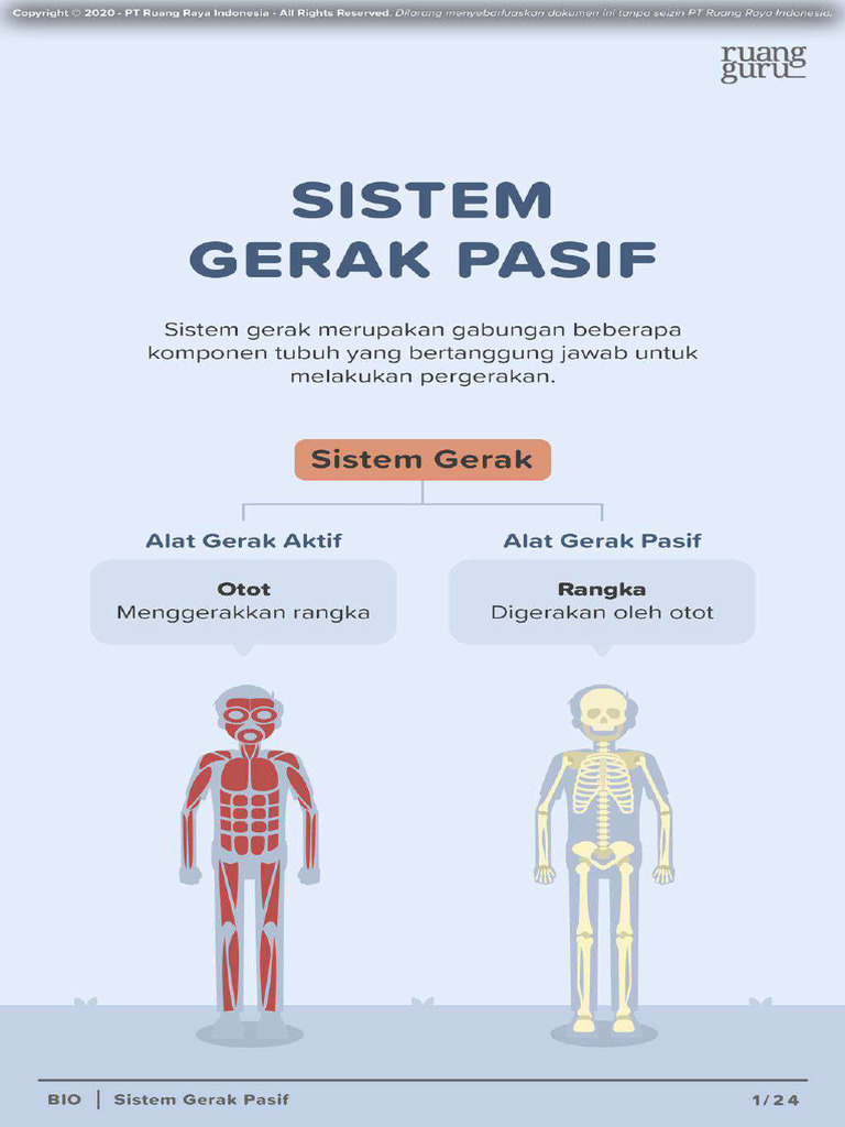 Rangkuman Sistem Gerak Pasif | PDF