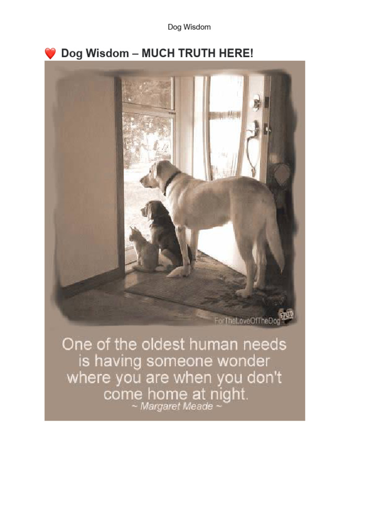 Dog Wisdom | PDF
