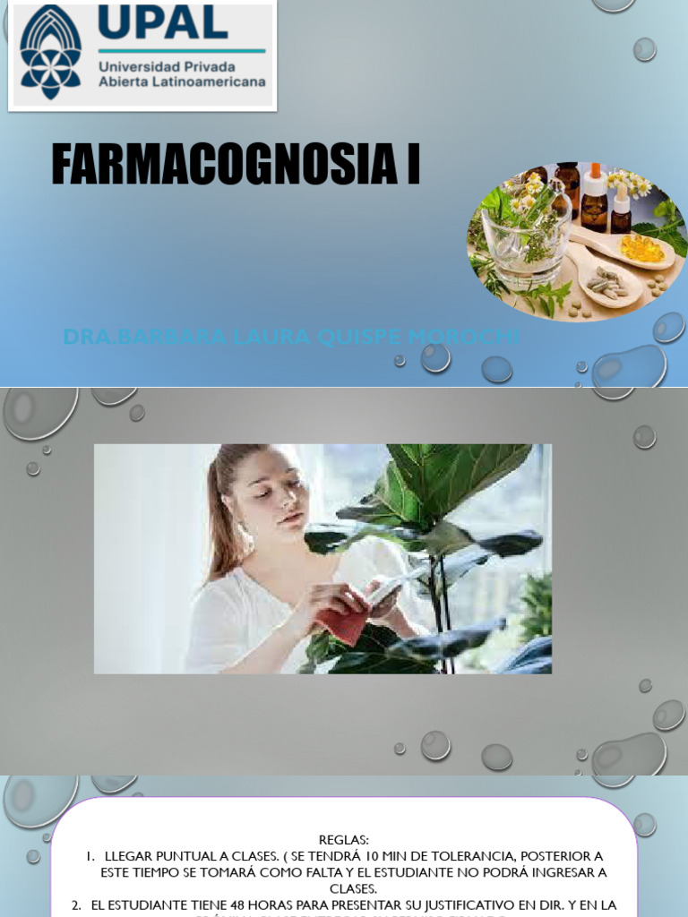 Tema 1 Farmac 2024 | PDF