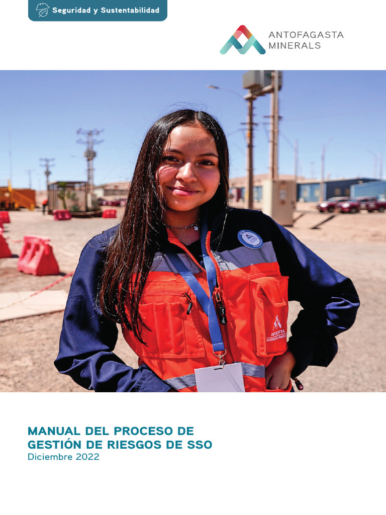 Manual Del Proceso de Gestion de Riesgos de SSO AMSA VF | PDF