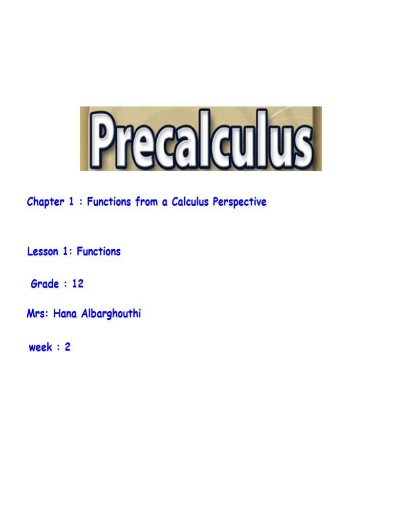 Chapter 1: Functions From A Calculus Perspective | PDF