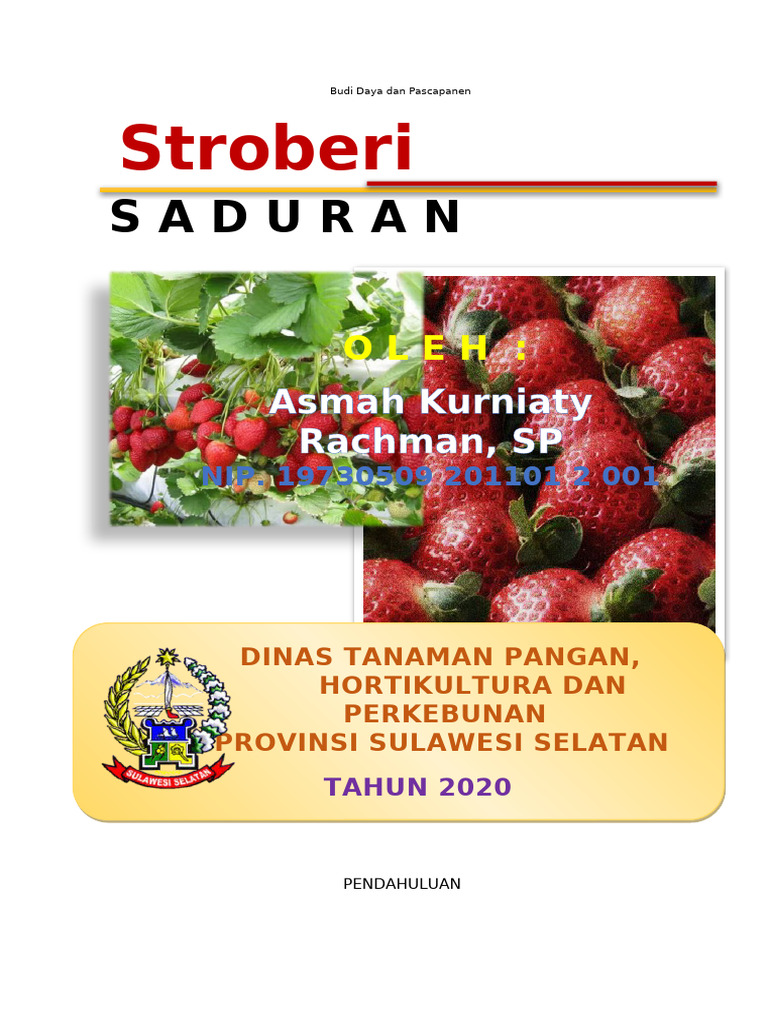 Strober 1 | PDF