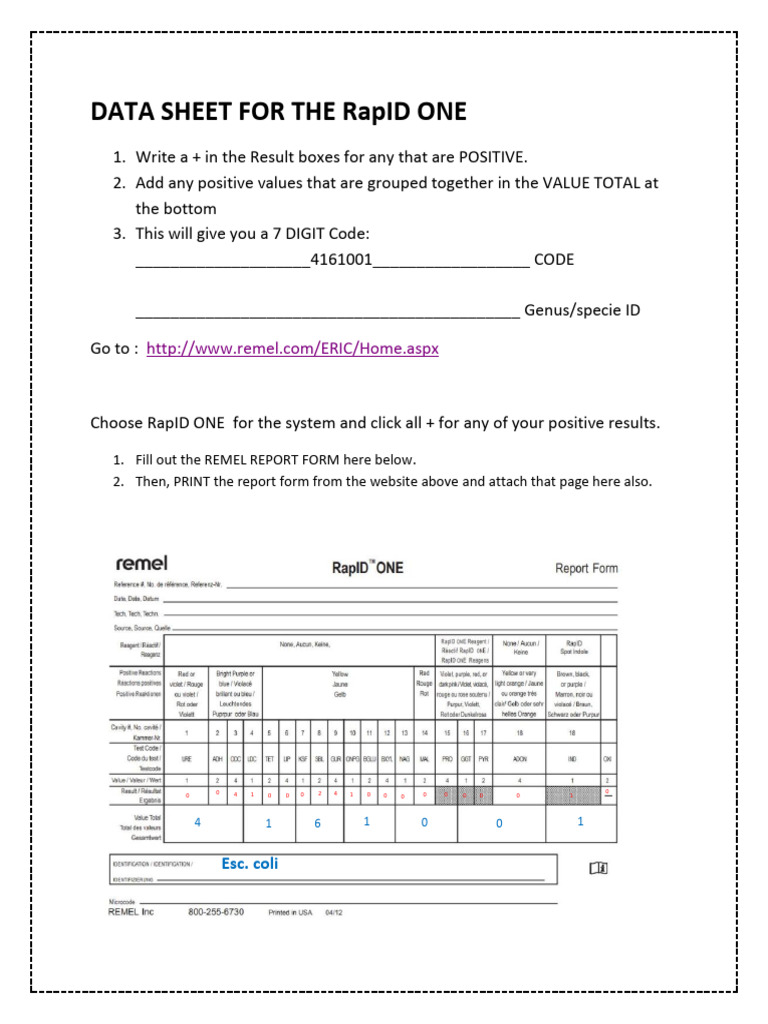 RapID ONE-DATASHEET | PDF