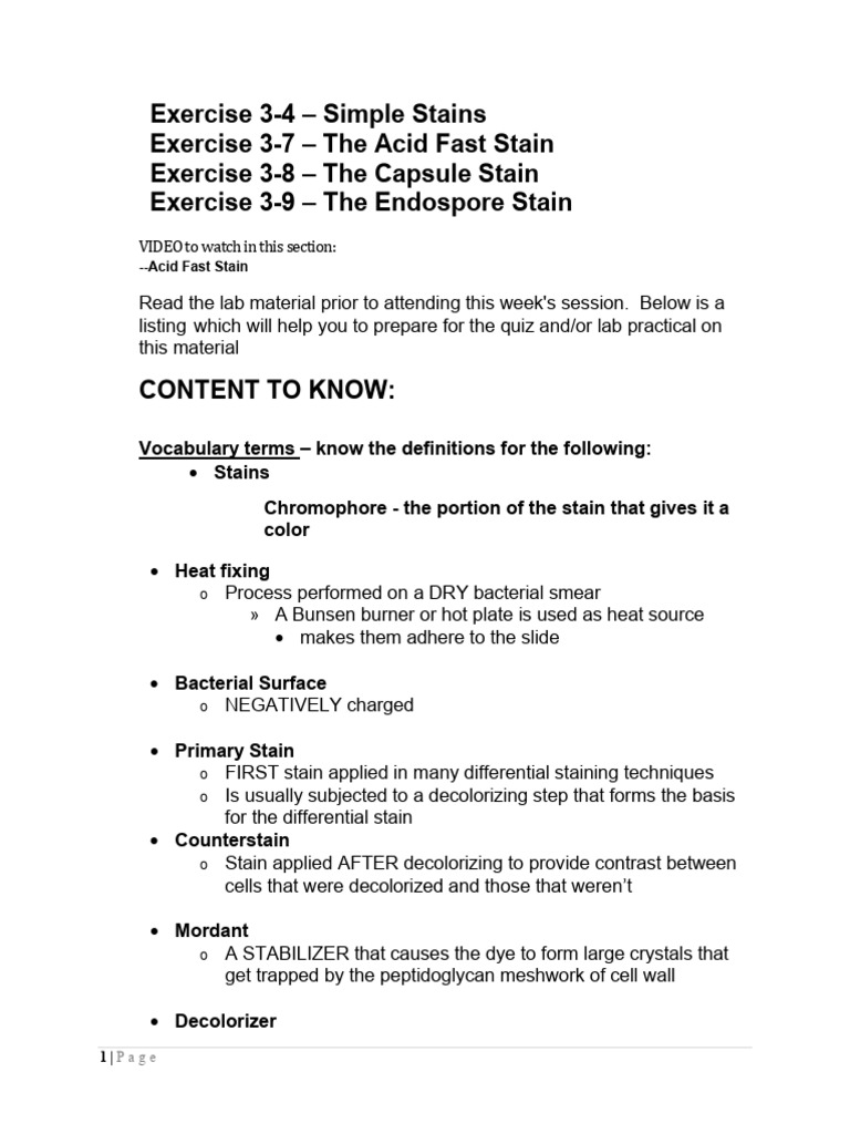 Simple Stains 2 | PDF