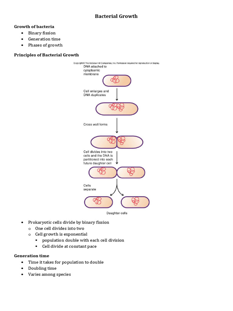Lec 3 Bacterial Growth | PDF