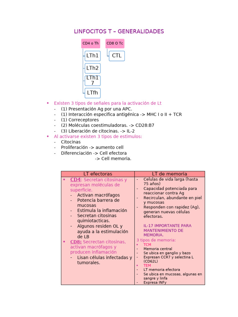 Linfocitos T Pdf