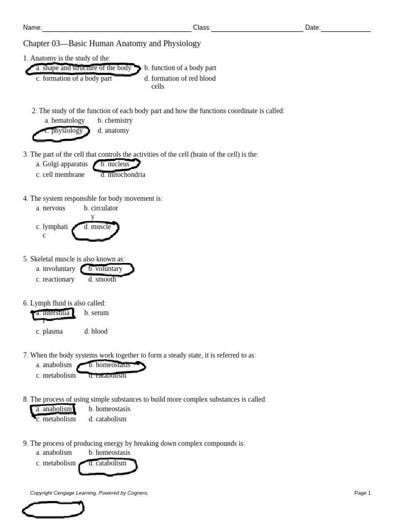 Chapter 03 Basic Human Anatomy and Physiology | PDF
