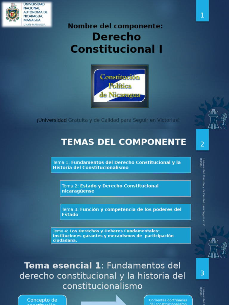 Derecho Constitucional | PDF
