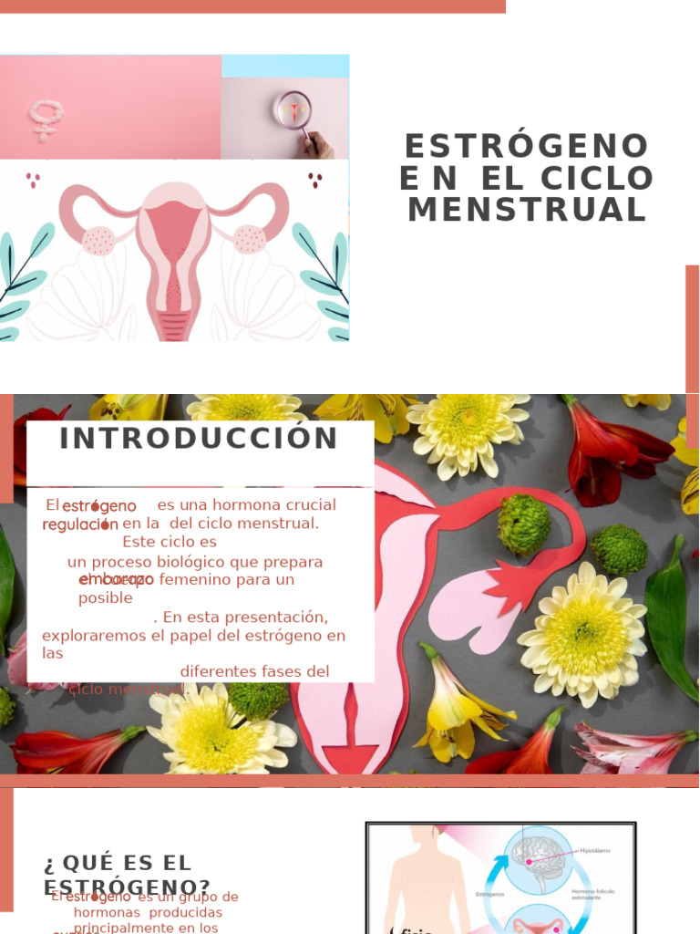 Estrogeno Ciclo Menstrual | PDF | Ciclo menstrual | Estrógeno