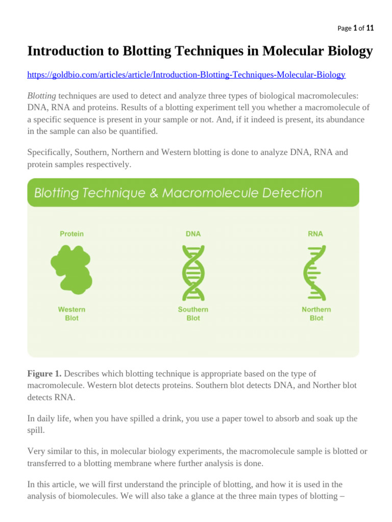 Introduction to Blotting Techniques in Molecular Biology | PDF