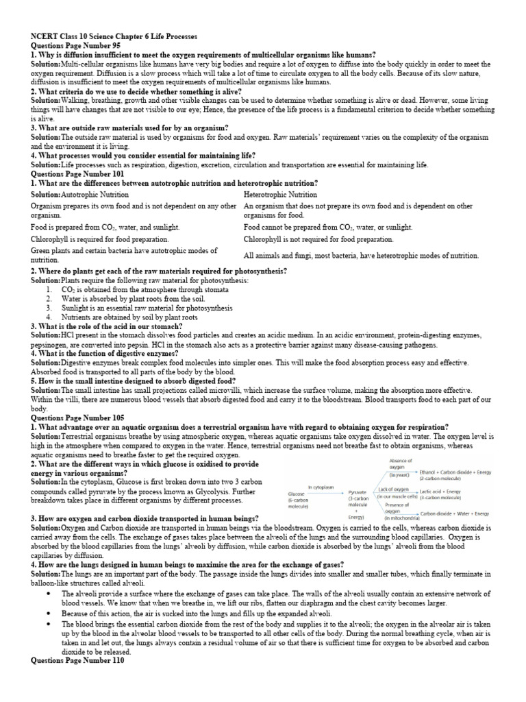 Life Process Complete | PDF