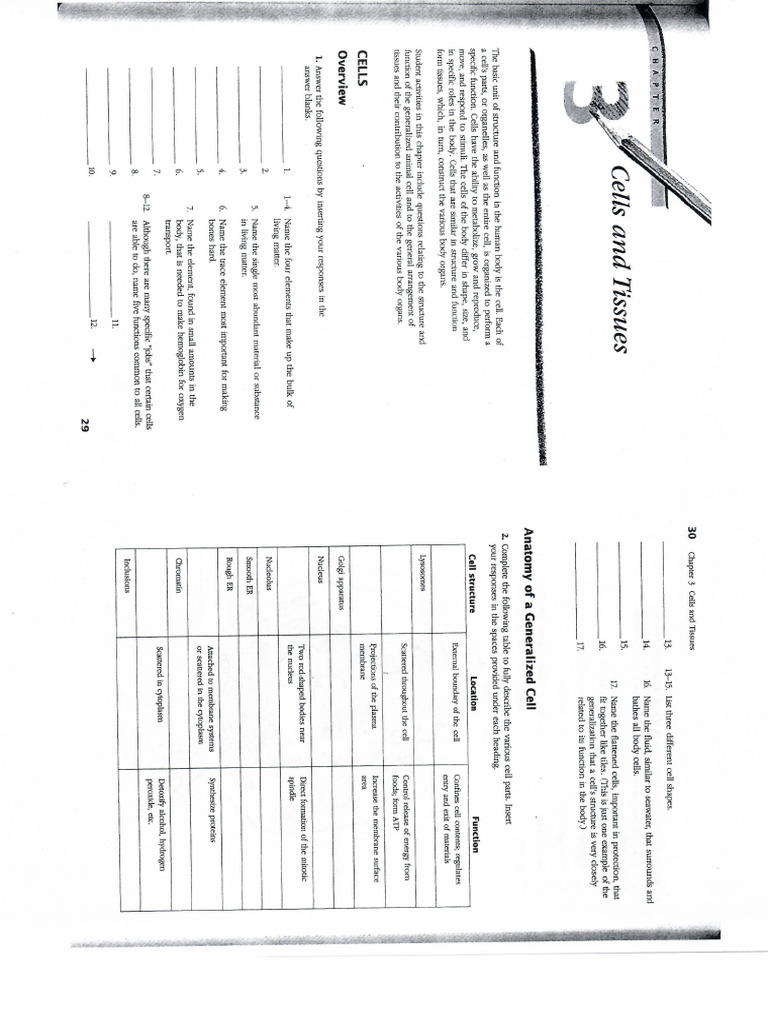 Cells and Tissue WKST | PDF