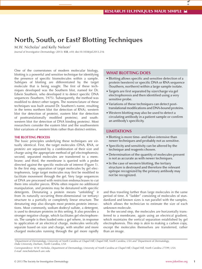 North, South, or East Blotting Techniques | PDF