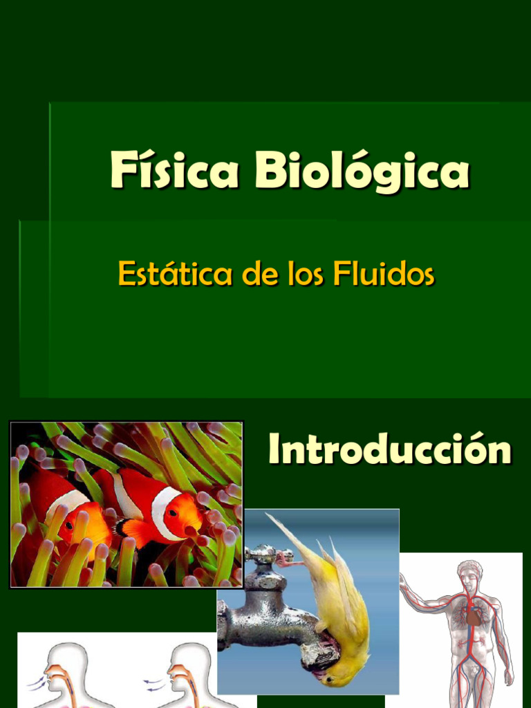 7 - Estatica de Fluidos | PDF