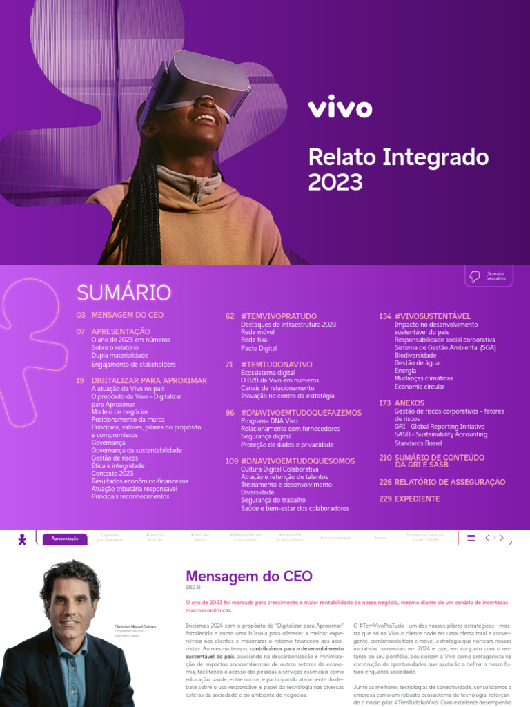 Relato Integrado 2023 Vfinal | PDF