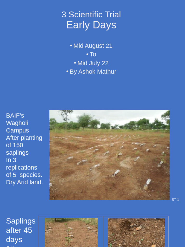 3 - Root Feast - Scientific Trial - Early Days - 45 Days Saplings | PDF