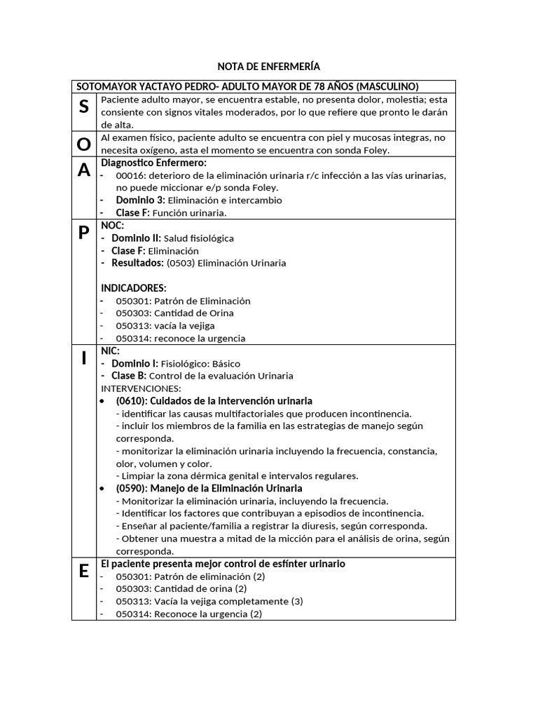 Formato - de - Nota - de - Enfermeria Soapie Listo para Enviar | PDF