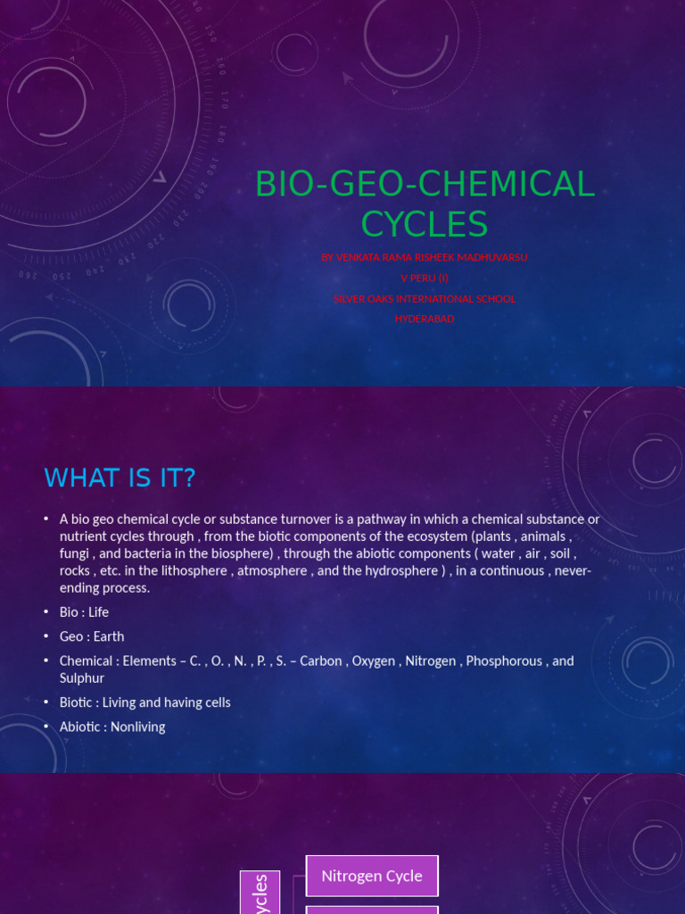 Bio-Geo-Chemical Cycles | PDF