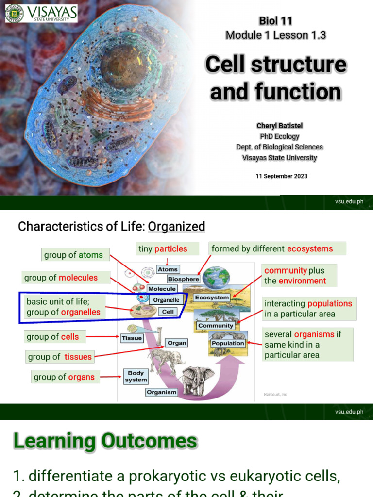 Lesson 1.3 Cell Structure Function PART 1 | PDF