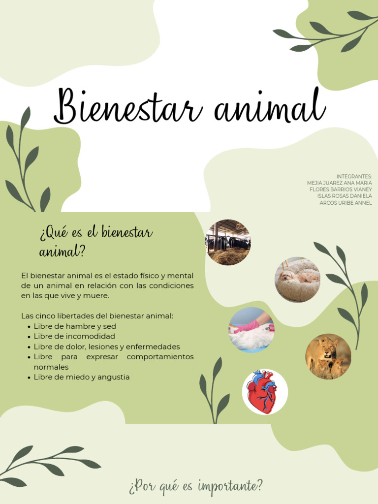 Bienestar animal | PDF
