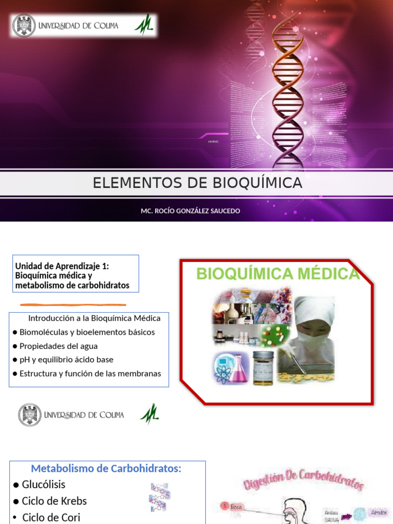 Presentacion Elem de Bioq | PDF | Metabolismo | Salud y bienestar