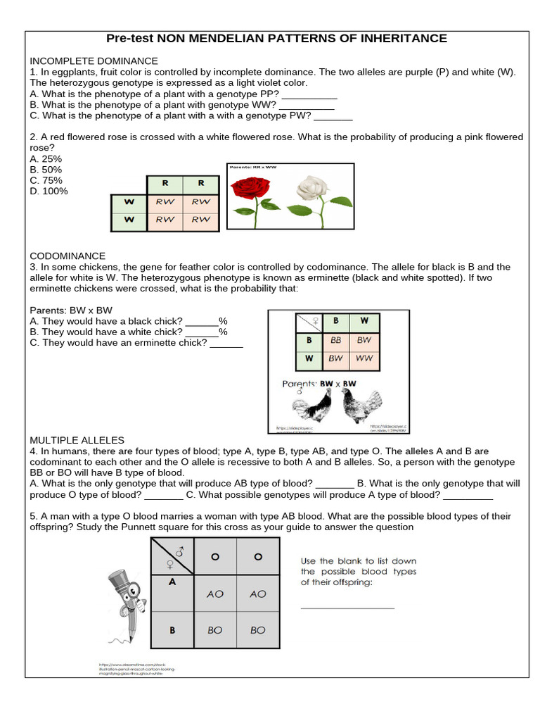 Pre Test Non Mendelian Patterns of Inheritance | PDF
