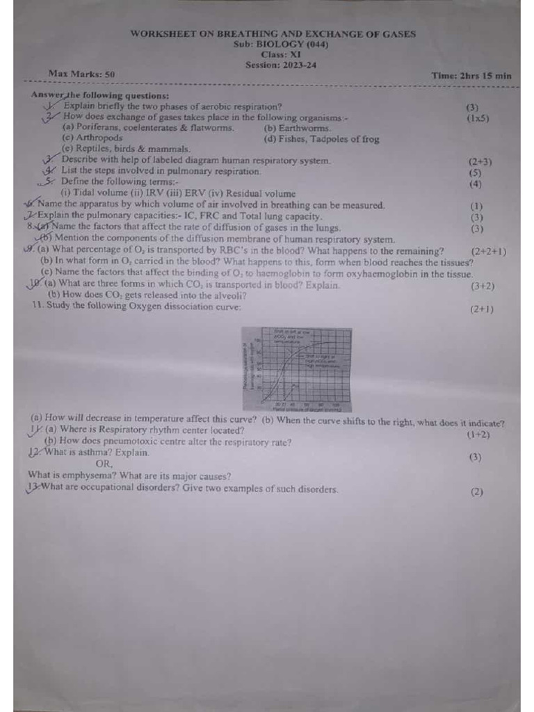 Biology XI Worksheets | PDF