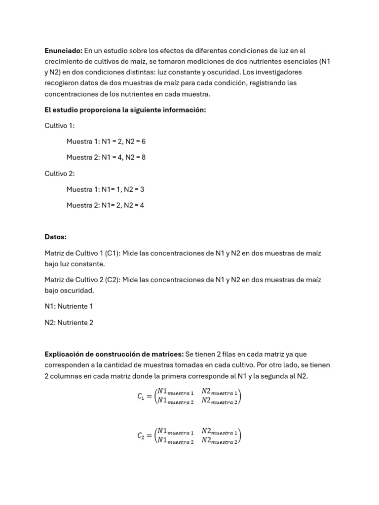 Ejercicio Matriz inversa | PDF