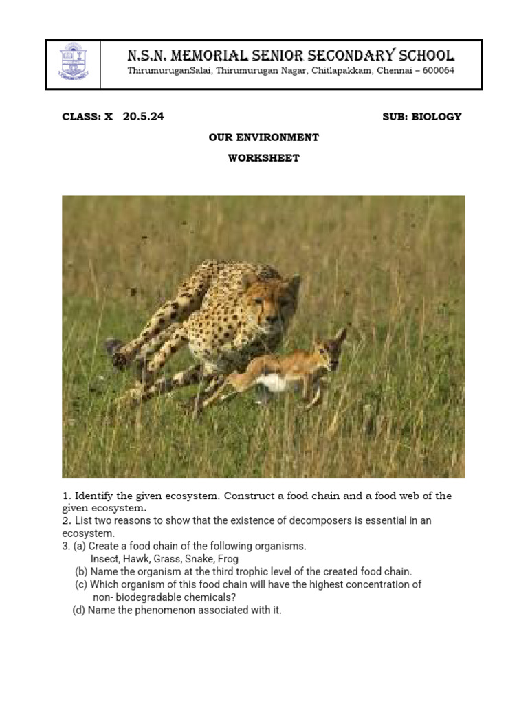 Our Environment Work Sheet | PDF
