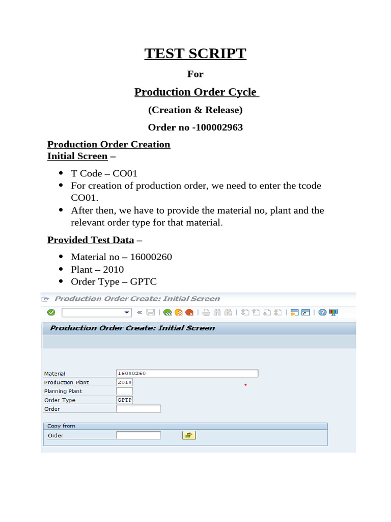 Test Script | PDF