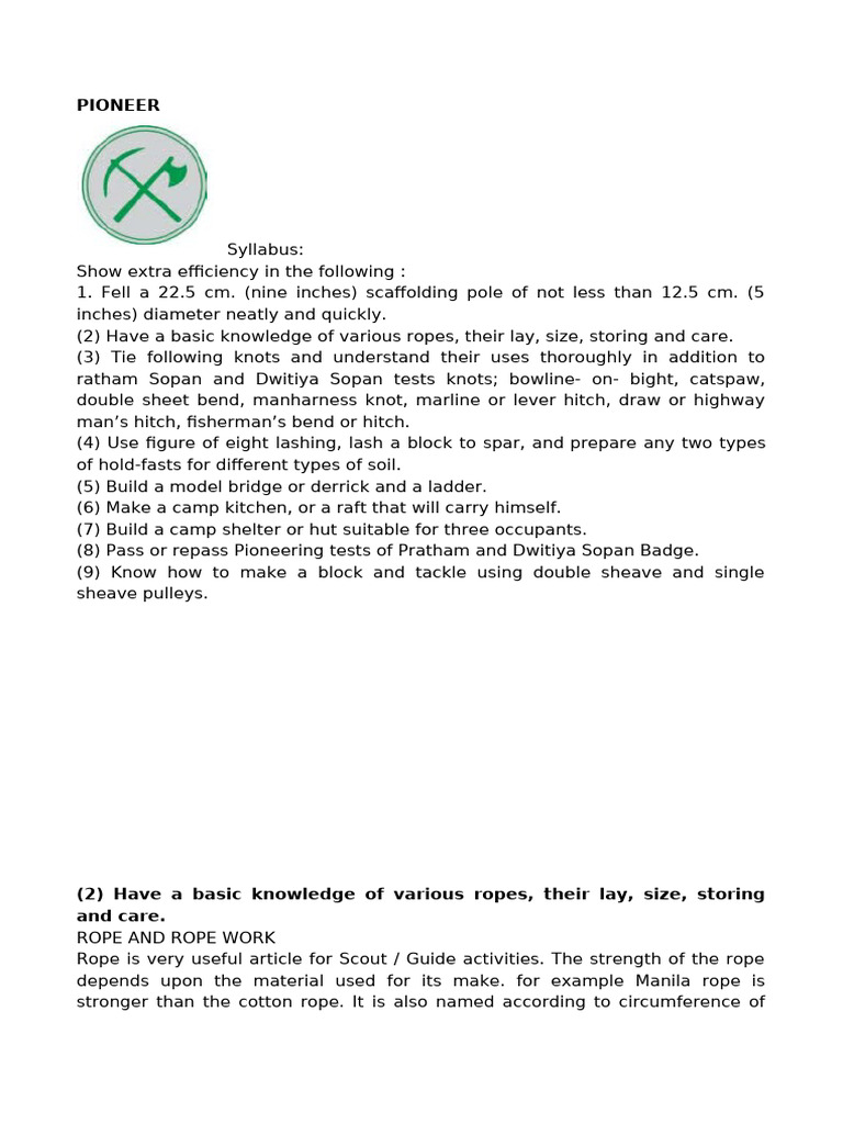 Pioneer | PDF