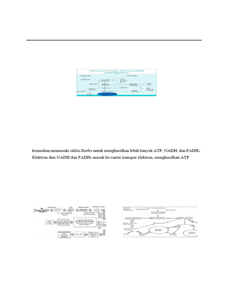 TGS (2) Nutrisiikan-Fatimah | PDF