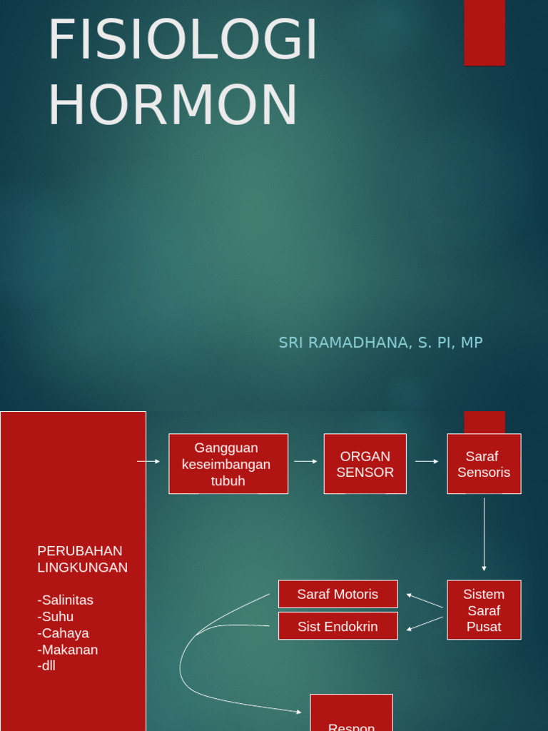 Sistem Hormon 2024 | PDF