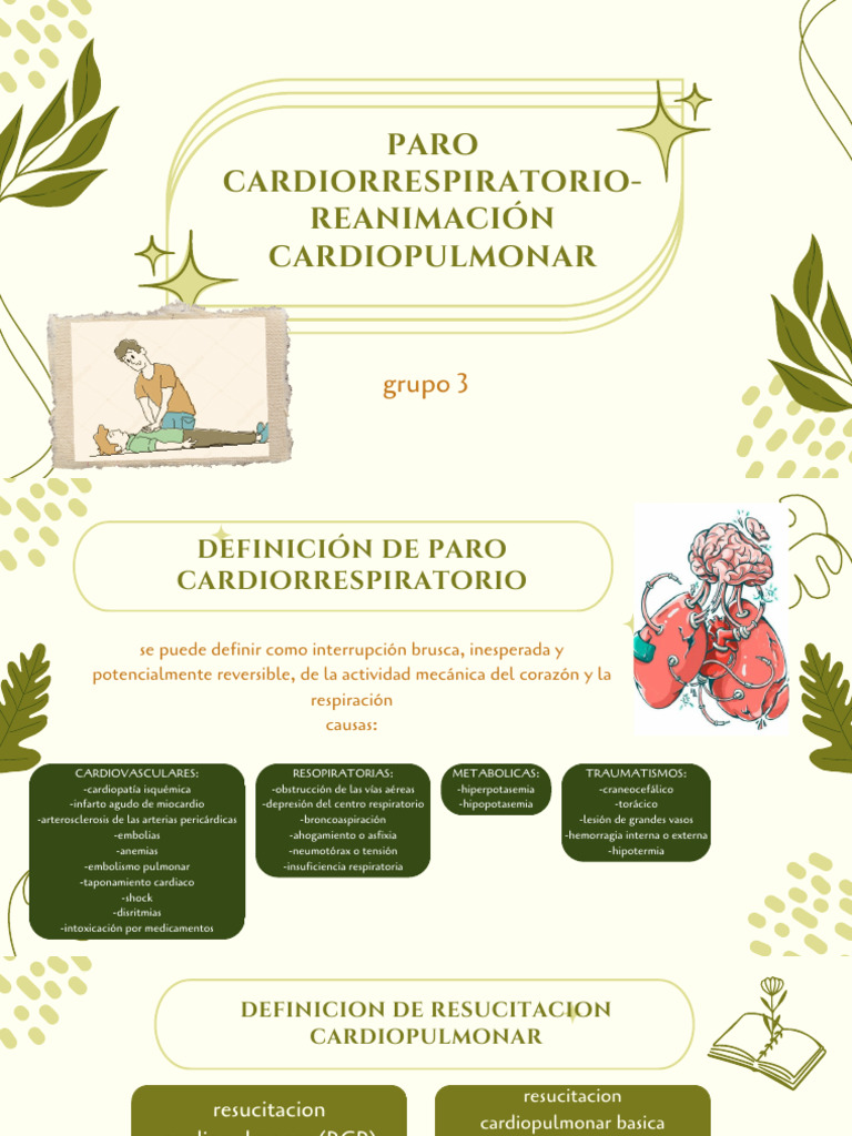 Paro Cardiorespiratorio Reanimacion Pulmonar | PDF