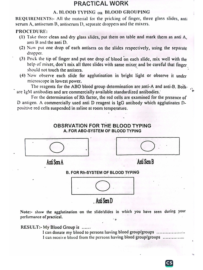 Blood Grouping | PDF