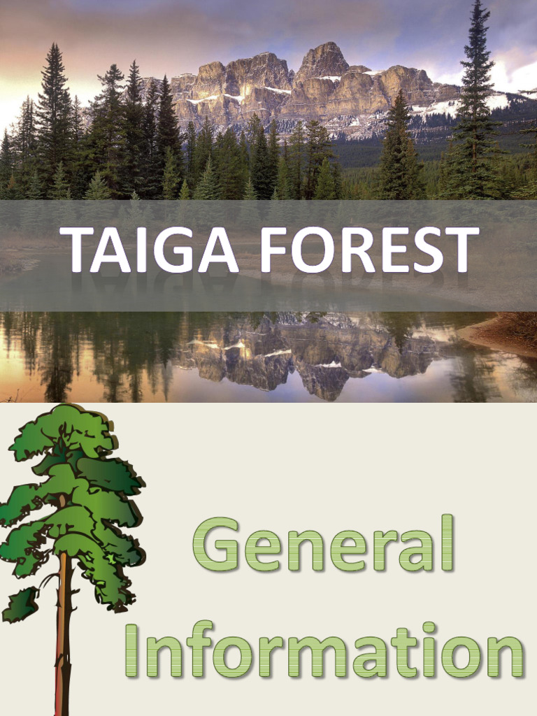 E 0 B 984 e 0 B 897 e 0 B 881 e 0 B 989 e 0 B 8 B 2 | PDF