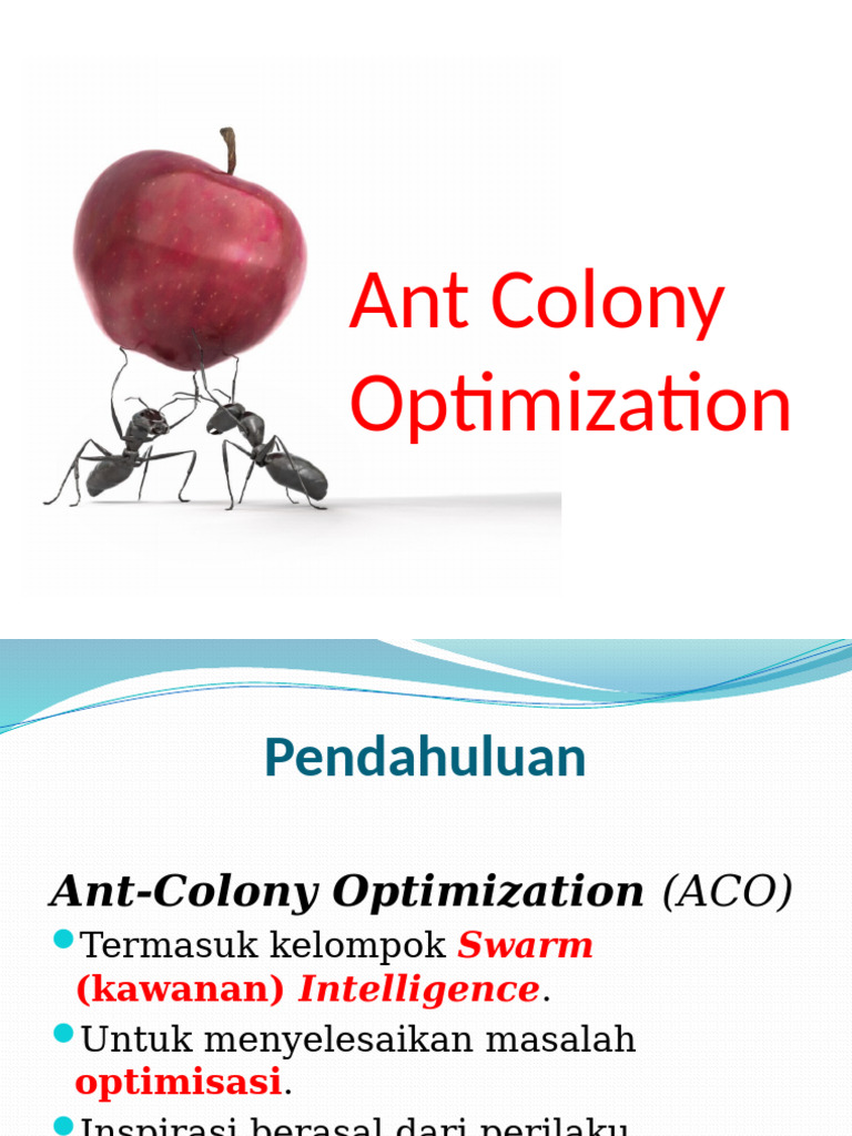 Ant Colony Optimization Aco Pdf