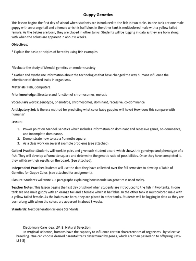 6th To 8th Grade, Guppy Genetics | PDF