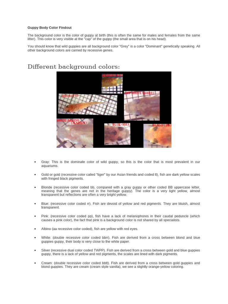 Guppy Body Color Findout | PDF
